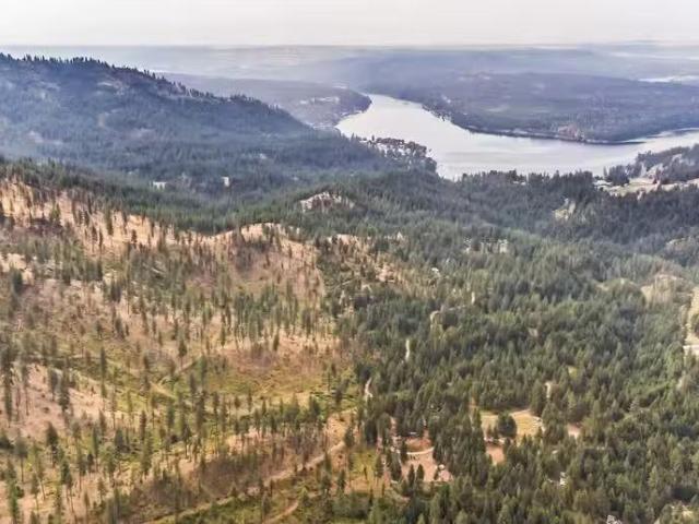 6790 Virgil Way, Nine Mile Falls, WA 99034 655076805