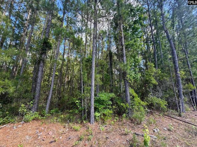 679/ Deer Run Avenue Lot 5D