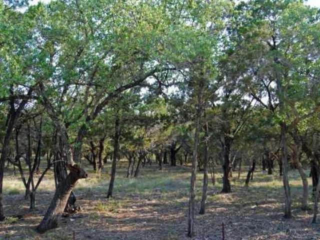 6805 Sunset Ridge Way, Jonestown, TX 78645 | MLS #6804