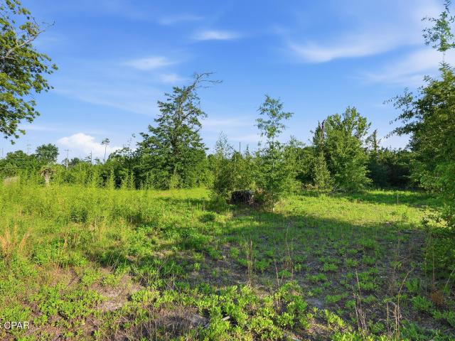 6807 John Pitts Rd, Panama City, FL 32404 | MLS #789937