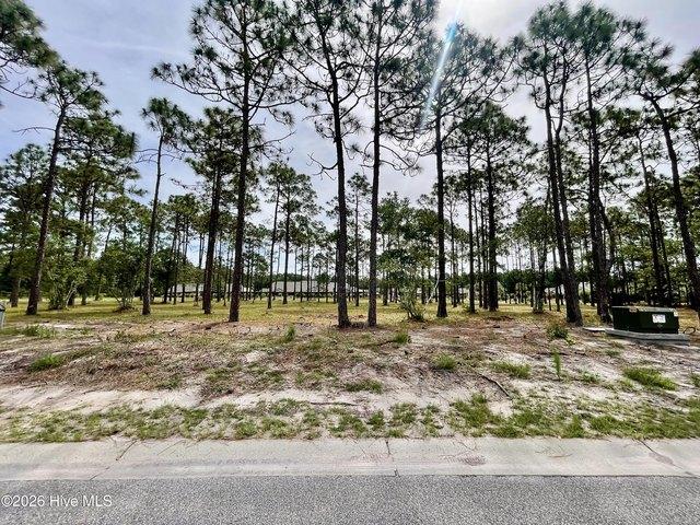 6808 Beckman Cir SW Lot 39, Ocean Isle Beach, NC 28469