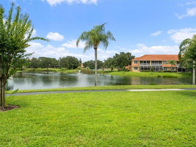 6808 Dali Ave Unit 101, Land O Lakes, FL 34637
