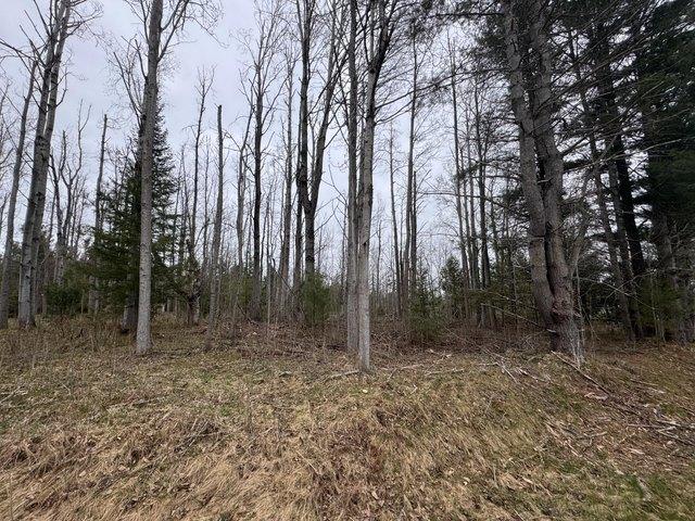 6809 Needles Rd, Indian River, MI 49749