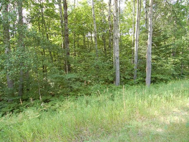 6800 S M 37 # 6990 Grandview Hwy