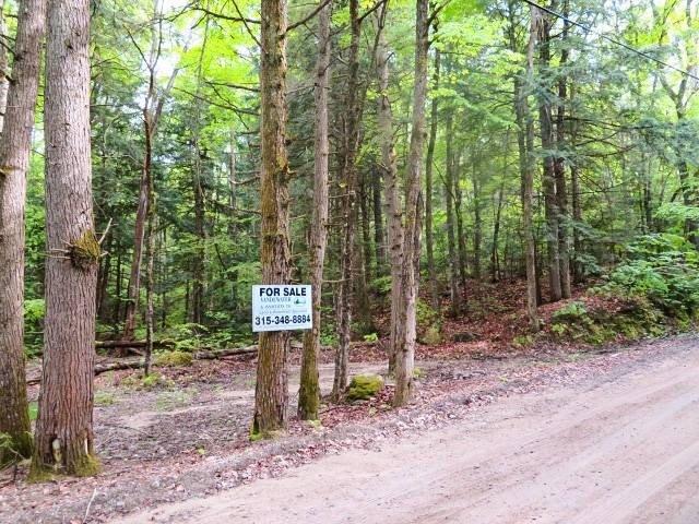 680 Lily Lake Rd, Bleecker, NY 12078