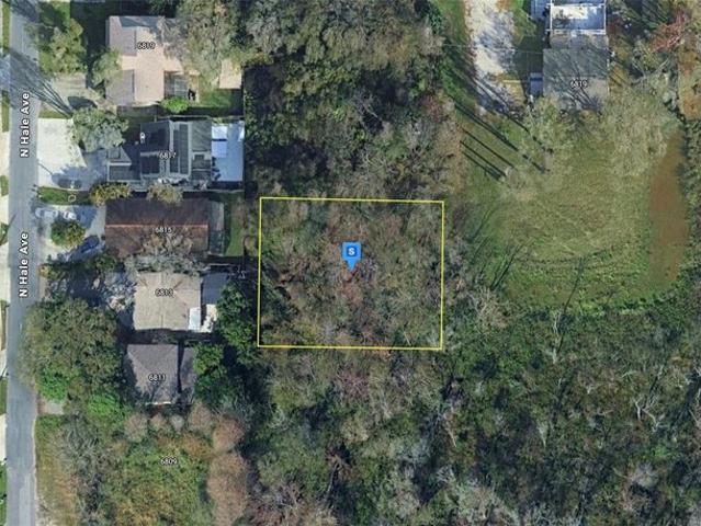 6810 N Blossom Ave, Tampa, FL 33614