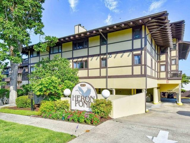 6813 Porcher Dr Apt 8, Myrtle Beach, SC 29572