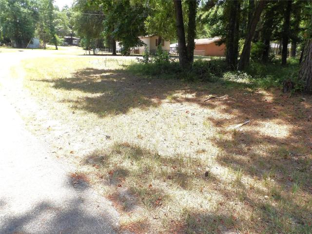 681 Plum Tree, Livingston, TX 77351 | MLS #65723