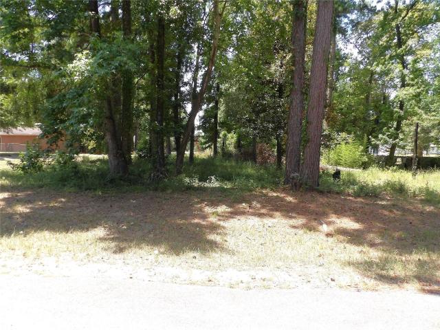681 Plum Tree