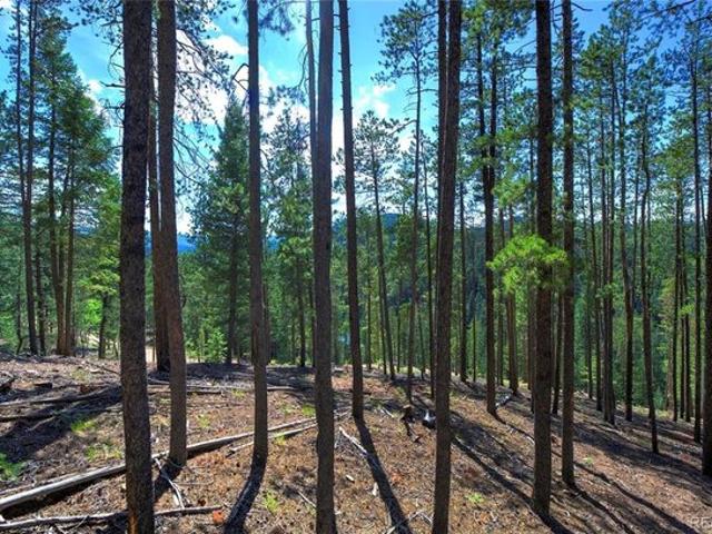 6824 Lynx Lair Rd, Evergreen, CO 80439