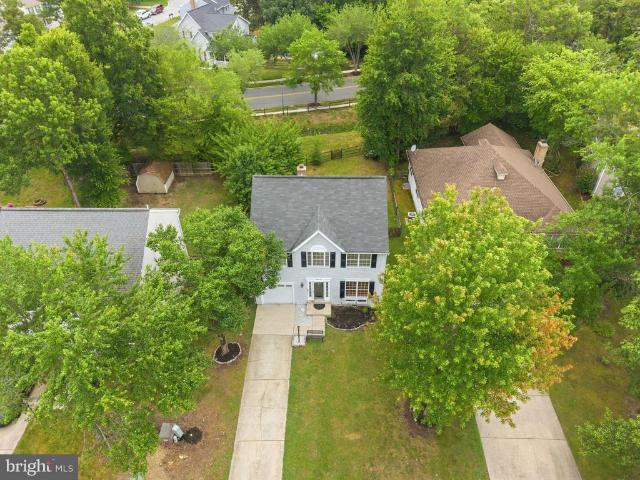 6825 Cologo Court