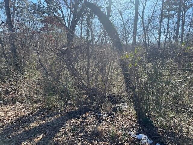 6821 Lakeshore Dr, Chattanooga, TN 37416