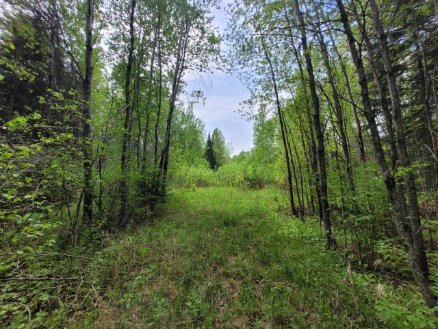 68232 County Road 547