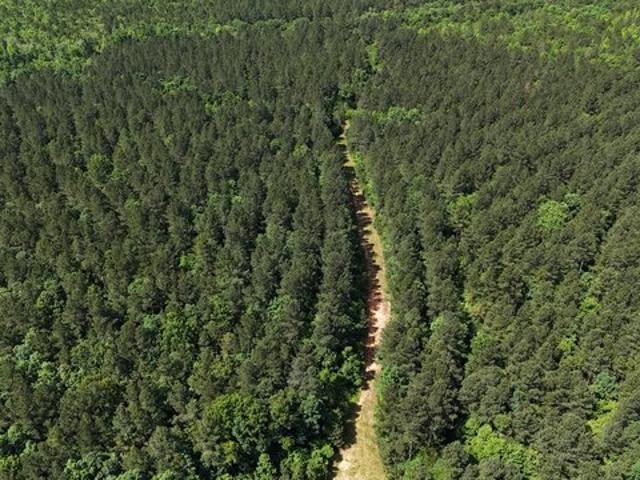 682 Wolf Pit Rd, Oxford, NC 27565