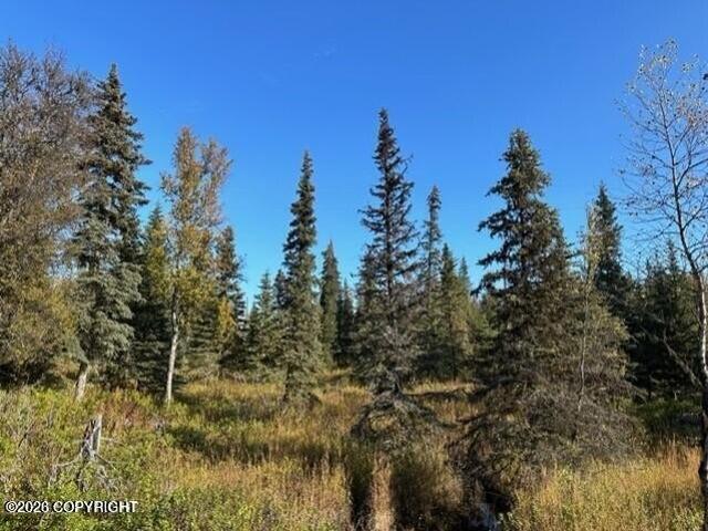 68302 Sunshine Dr, Ninilchik, AK 99639