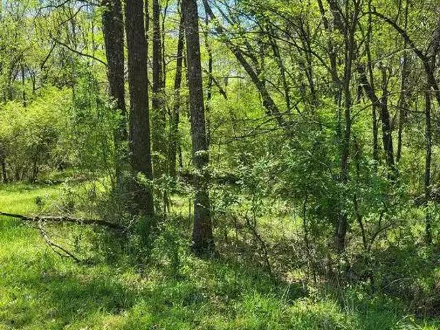 683 Arlington Dr, Hot Springs National Park, AR 71913 MLS# 14.