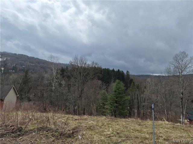 6843 Springs Rd, Ellicottville, NY 14731