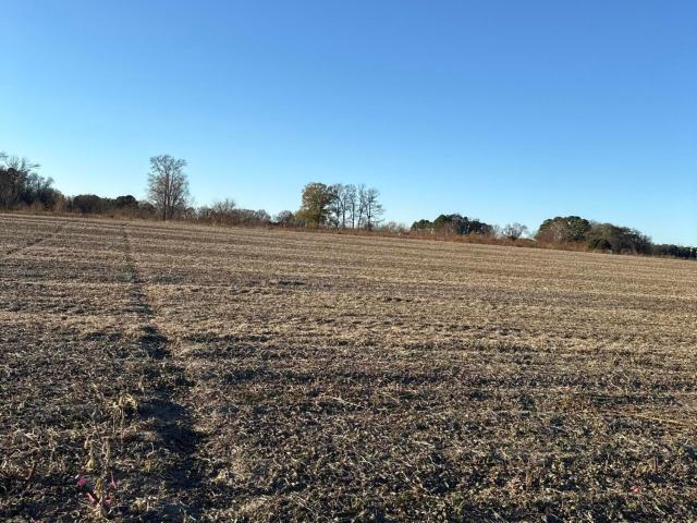 684 W Nc 55 Highway