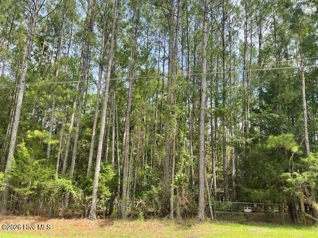 6856 Cottonwood Dr, Appling, GA 30802