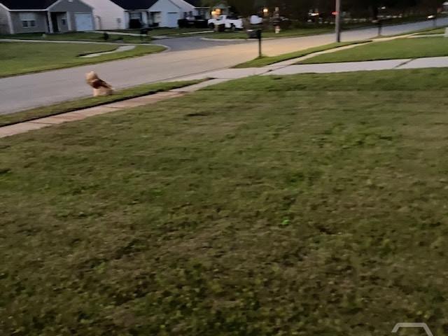 685 Rushing Street