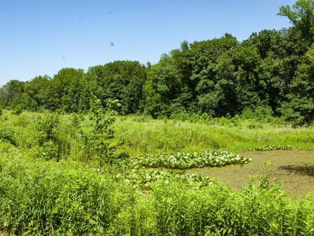 6864 N Nature Ln Unit 10, La Porte, IN 46350