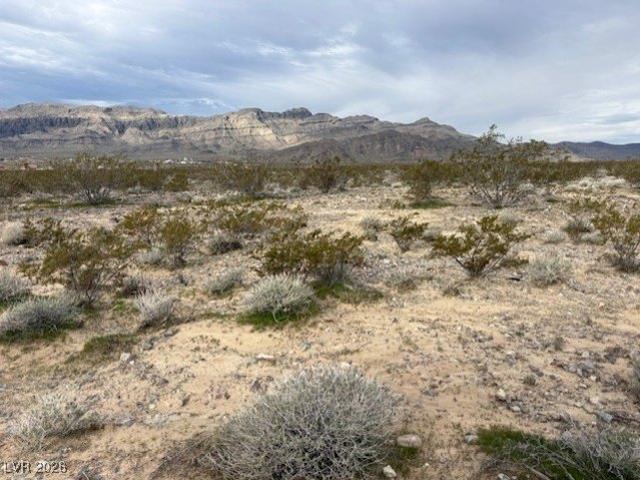 6860 N Blagg Rd, Pahrump, NV 89060
