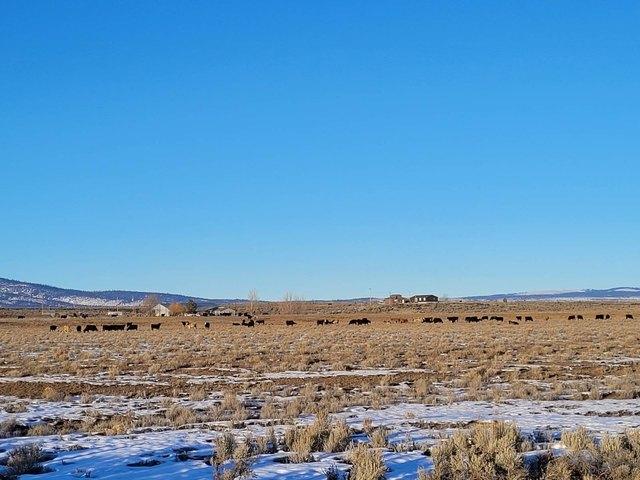 68615 Dasher Rd, Riley, OR 97758