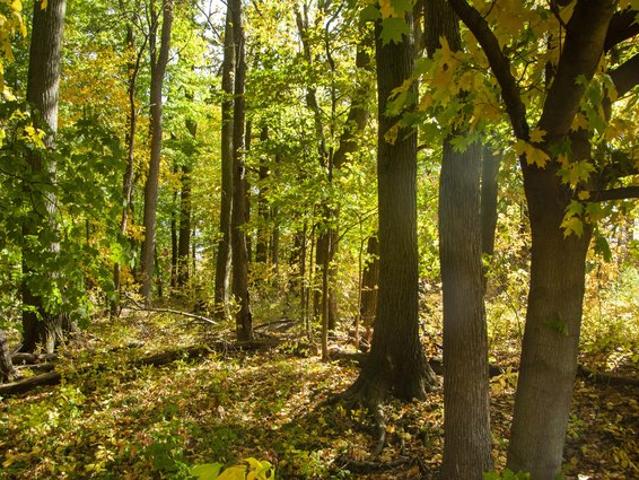 6862 N Nature Ln Unit 11, La Porte, IN 46350