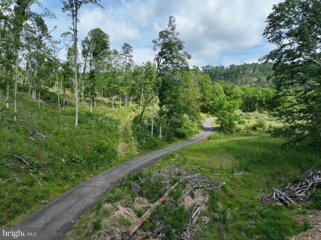 686.10 Acres Thorn Bottom Rd