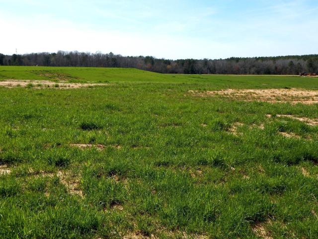 686 Graysport Crossing Road