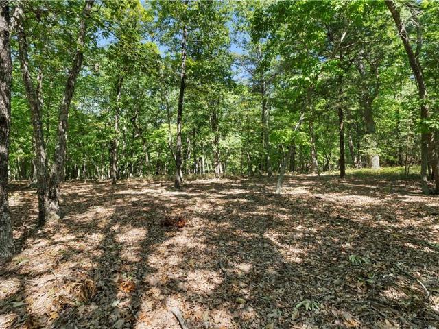 686 Palisade Trail