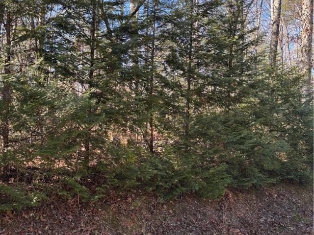 686 W Cove Dr, Mountain Rest, SC 29664 | MLS #20296