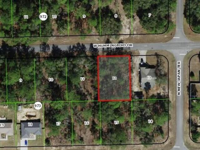 686 W Hummingbird Dr, Citrus Springs, FL 34434