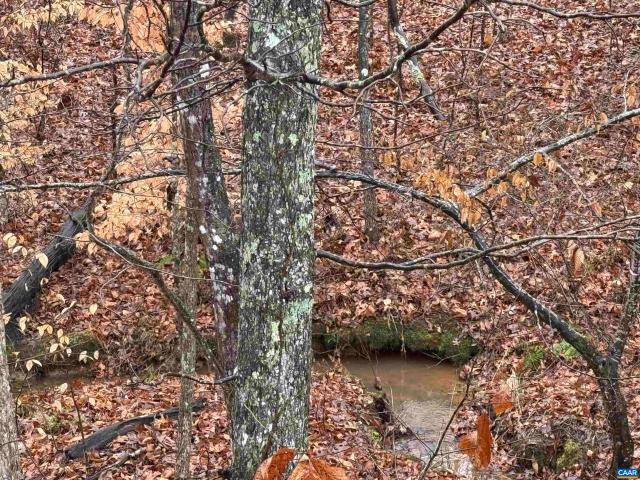 6872 W James Anderson Hwy, Gladstone, VA 24553 | MLS #659634
