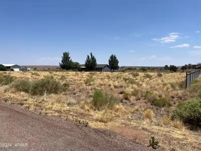 687 N Snowflake Hts Blvd, Snowflake, AZ 85937 MLS 252270