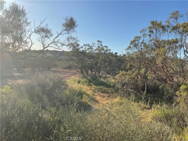 687 Saddleback Dr, Aguanga, CA 92536 | MLS #SW26050