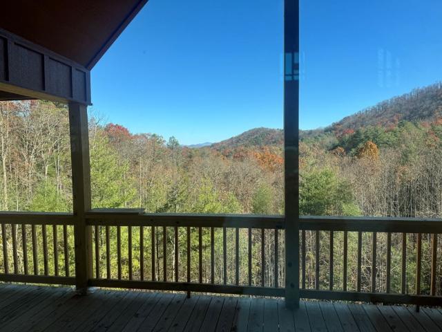 687 Point Overlook Trail