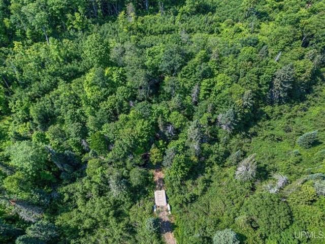 6881E Forest Road Rd Lot 4, Marenisco, MI 49947