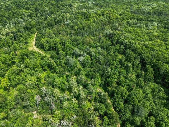 6881E Forest Rd Lot 1, Marenisco, MI 49947