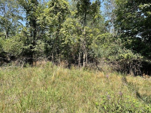 6893 Wiley Rd, Fennville, MI 49408