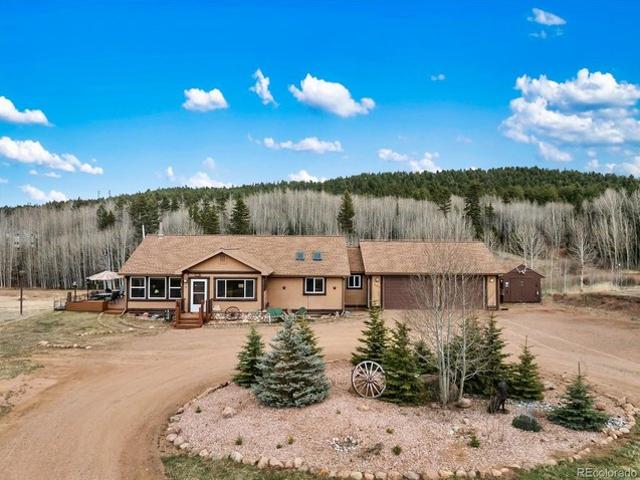 689 Divide South Dr, Divide, CO 80814