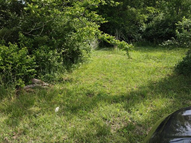 689 Stone Door Rd