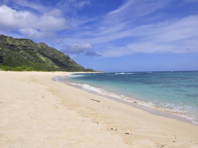 68 434 Farrington Hwy, Waialua, HI 96791 | MLS #202608 | Compass