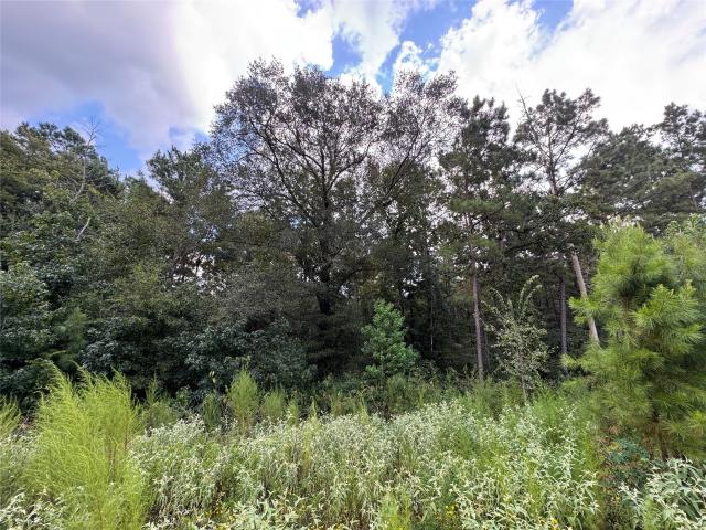 68 23 7 Sky Oak Lane