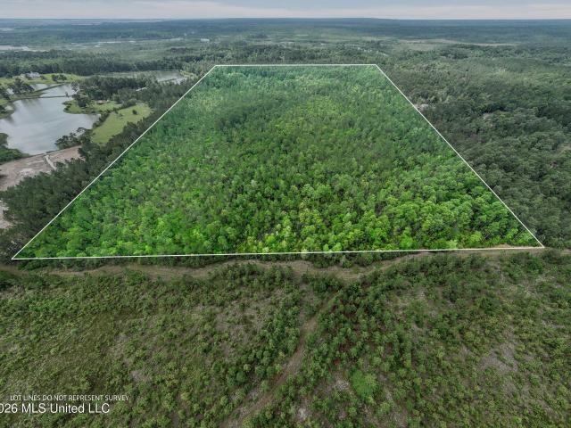 68 Acres Blue Wood Drive