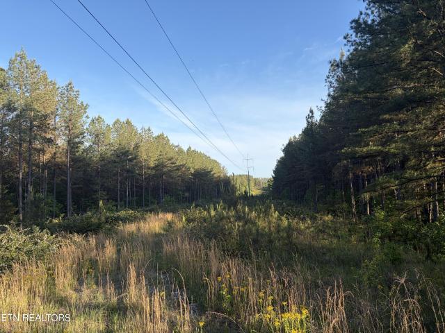 68 Black Bear Lane