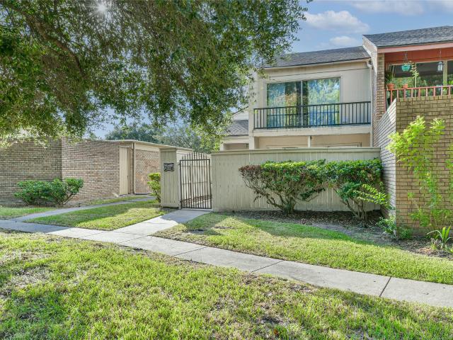 68 Chervil Common