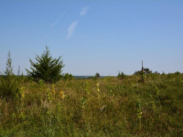 68 E 74 Rd, Lecompton, KS 66050