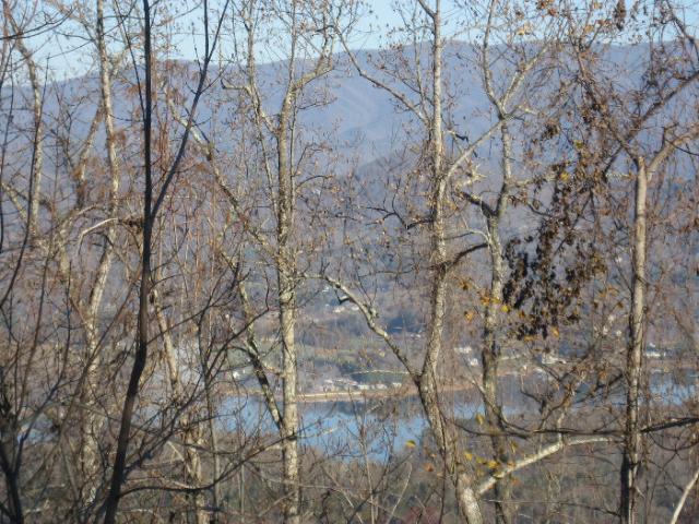 68 Eagles View, Hayesville, NC 28904 | MLS #273943