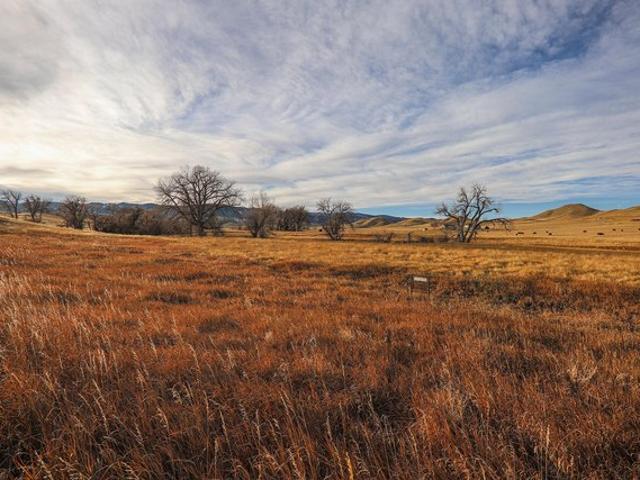 68 High Camp Ln, Buffalo, WY 82834